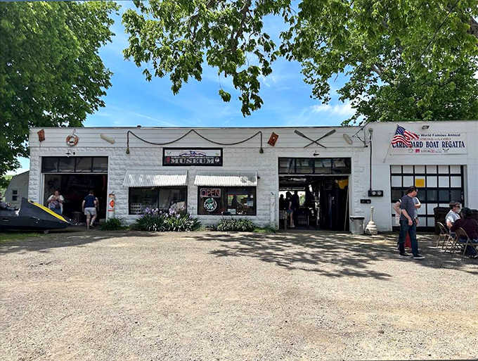 The Cardboard Boat Museum celebrates the town's quirkiest tradition, preserving vessels that prove creativity floats even when cardboard shouldn't.