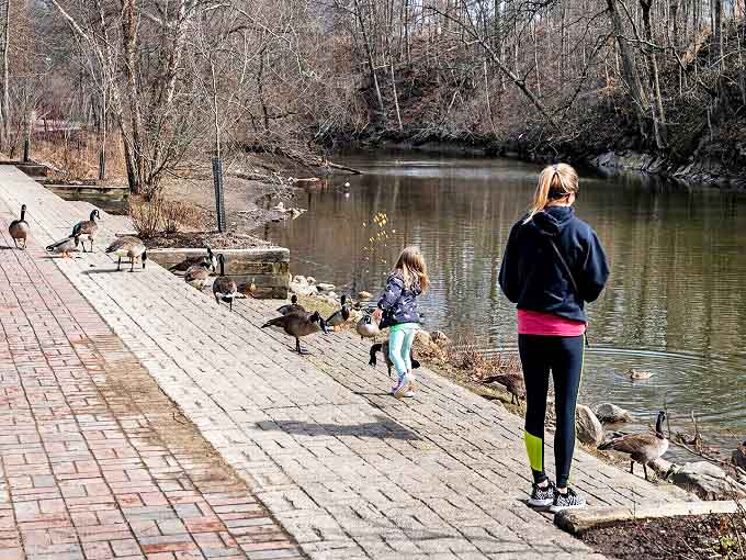 River Run Park: Families and waterfowl share peaceful coexistence along the riverbank, where feeding ducks becomes the day's most important appointment.