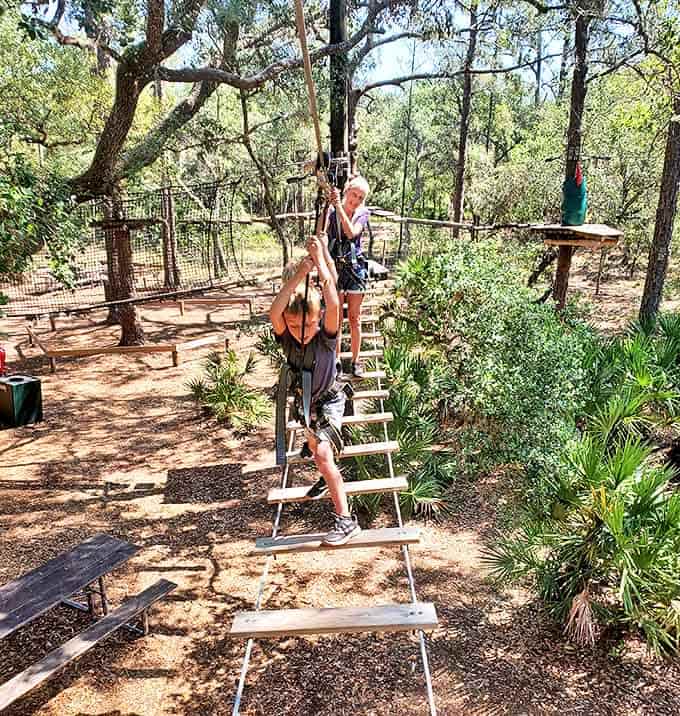 Little adventurers crossing bridges with the confidence that comes from weighing half as much as adults and bouncing twice as well.