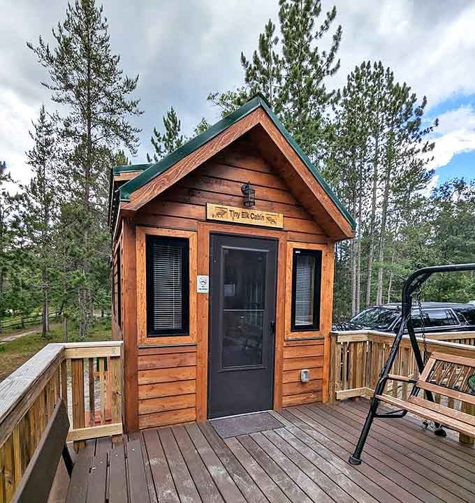 Tiny house dreams come true in this charming cabin, where rustic comfort meets woodland serenity for the perfect unplugged getaway experience.