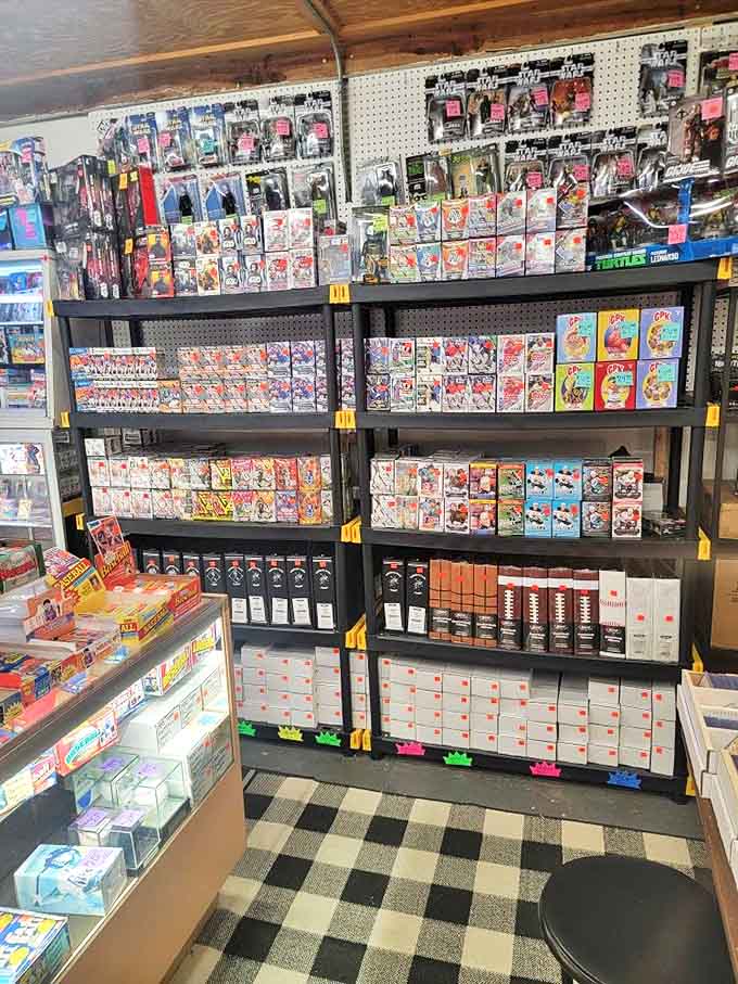 Trading cards organized in neat white boxes beneath glass cases &ndash; each one a tiny time capsule of sports heroes and childhood memories.