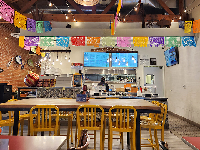 The counter area buzzes with activity, where colorful chairs invite you to linger while watching culinary craftsmanship in action.