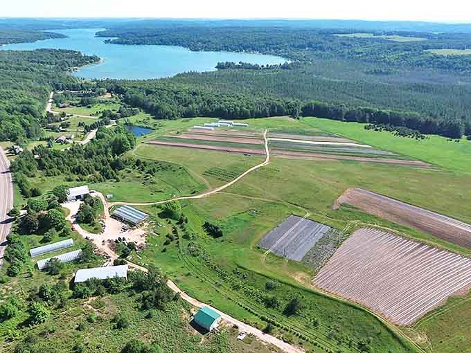 Coveyou Scenic Farm proves that "working landscape" can be just as breathtaking as any national park, especially when viewed from above.