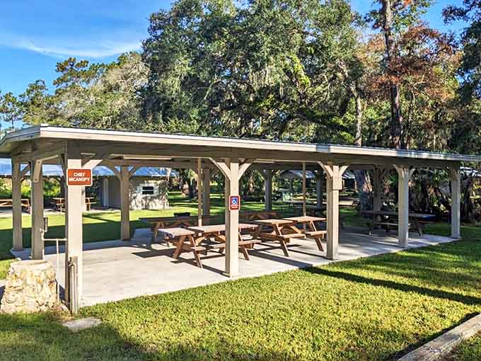 These shaded pavilions offer respite from Florida's sunshine, perfect for gathering with friends after exploring the battlefield's trails.