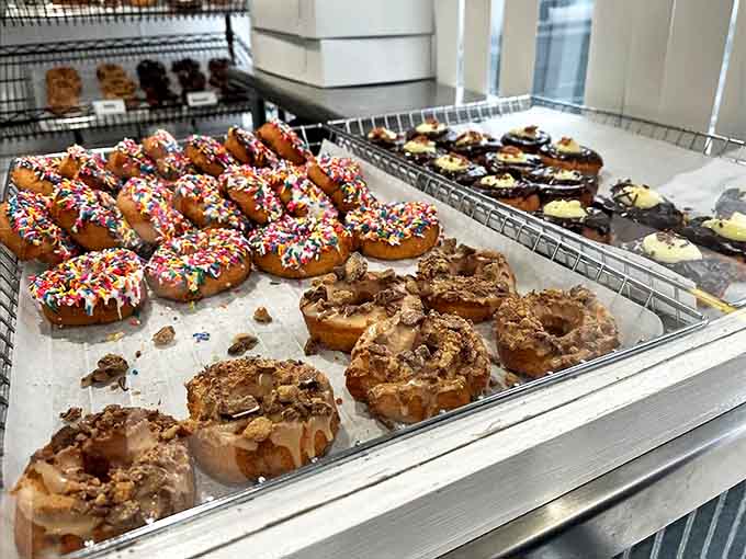 Donut Display: Morning glory in pastry form. Each shelf offers a different path to happiness, with sprinkles standing by as colorful tour guides.