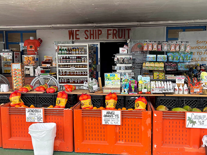 "WE SHIP FRUIT" proclaims the sign above crates of citrus treasures, ready to bring Florida sunshine to vitamin C-deprived relatives nationwide.