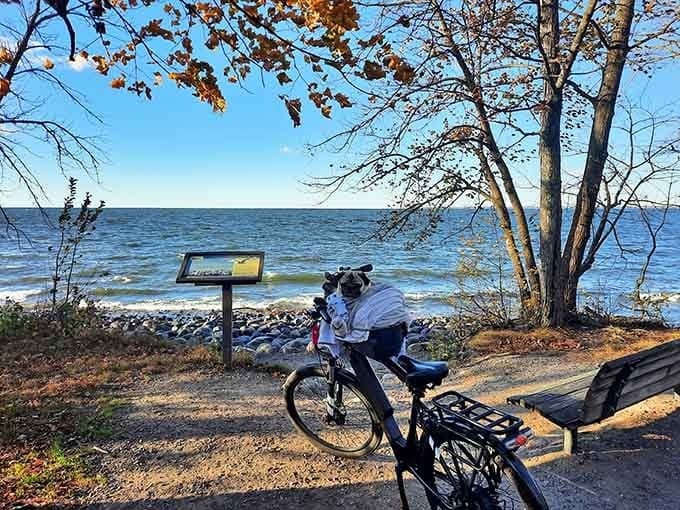 Two wheels and endless trails make for the perfect combination when you want to cover more ground without missing the scenery.
