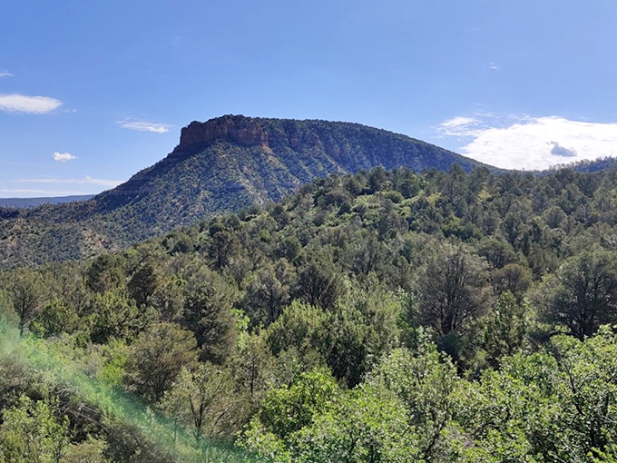 The bigger picture: Fossil Creek's lush corridor cuts through Arizona's dramatic plateau country, a green ribbon in a rocky landscape.