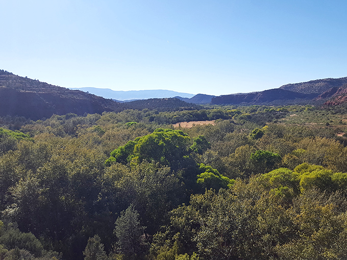 Verdant valleys nestle between crimson cliffs, proving life finds a way even in seemingly harsh environments.