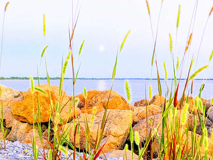 Foxtail grasses frame the rocky shoreline, adding texture and that perfect golden hour glow that makes amateur photographers look professional.
