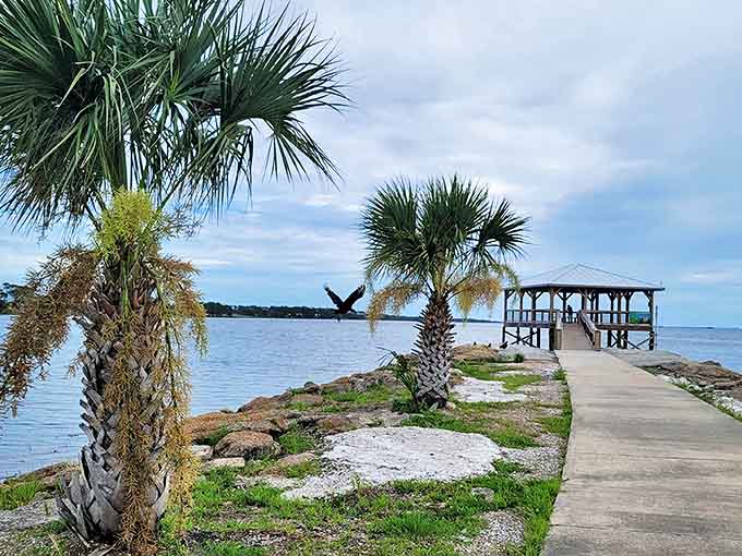 This peaceful pier extends into St. Joseph Bay, offering contemplative moments and panoramic views that soothe the soul.