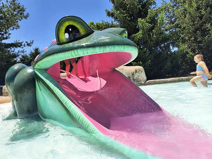 This grinning frog slide offers little ones their first taste of waterpark thrills, complete with a tongue-slide into refreshing waters.