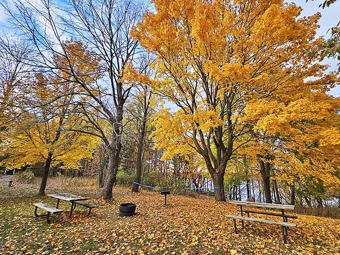 Picnic tables nestled among autumn-kissed trees &ndash; where lunch comes with a side of spectacular and dessert is pure tranquility.