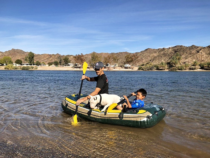 Family kayaking adventures create the kind of memories that survive long after sunburns fade and souvenir t-shirts shrink in the wash.