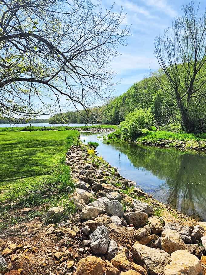 Streams meander through the park like they've got all day and nowhere particular to be, which is honestly the right attitude.
