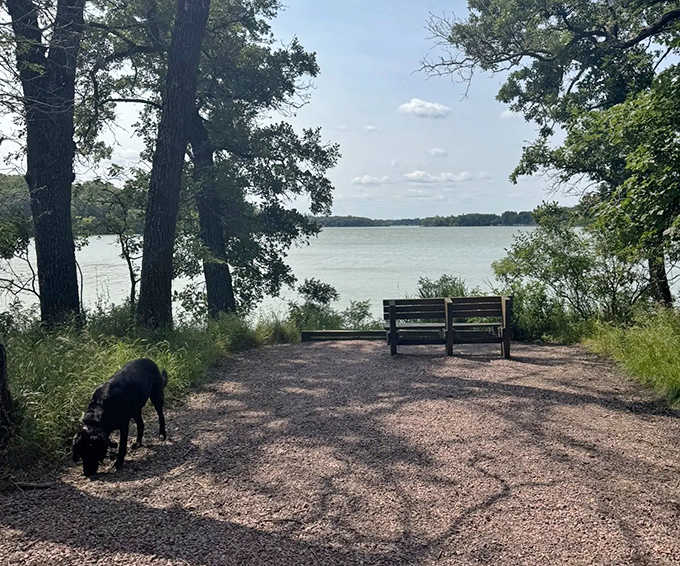 The perfect spot for contemplating life's big questions or simply watching ducks do duck things.