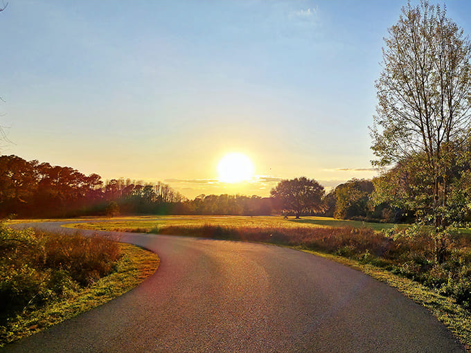The road less traveled actually looks pretty inviting. Golden hour transforms an ordinary path into the yellow brick road.