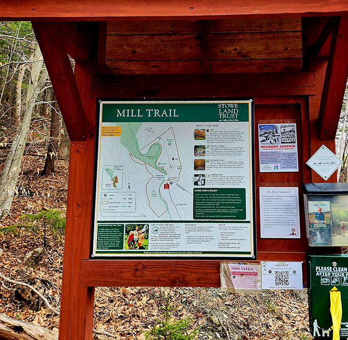 Trail maps guide visitors through this woodland sanctuary, where every turn reveals another piece of Vermont's natural heritage.