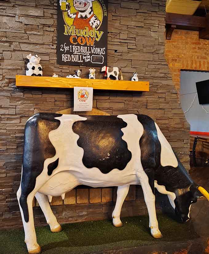 The mascot cow watches over diners, silently judging your cheese curd consumption rate.