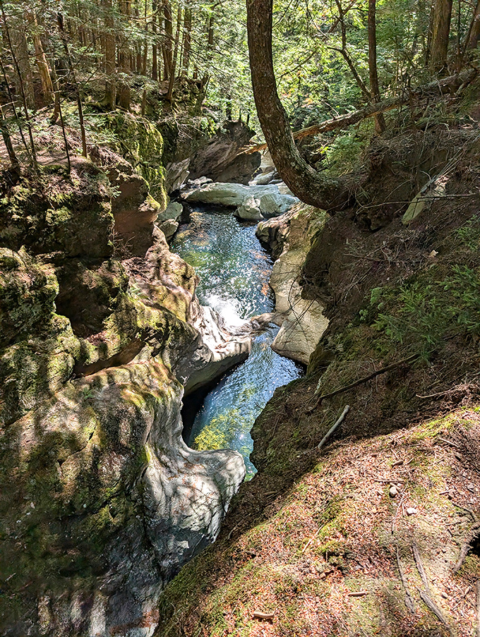 The gorge's smooth rock formations tell a geological story of water's patient power, carving beauty from stone over countless centuries.