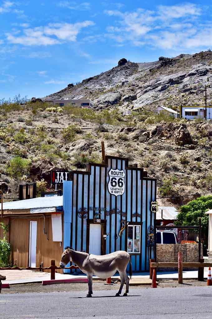 Route 66 signage reminds visitors they're traveling America's most famous highway, where the journey matters as much as the destination.