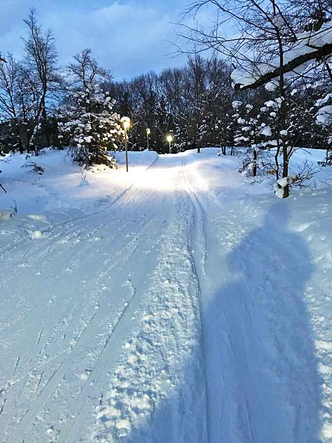Snow-covered paths offer a winter wonderland experience for the brave souls who believe beaches aren't just for summer.
