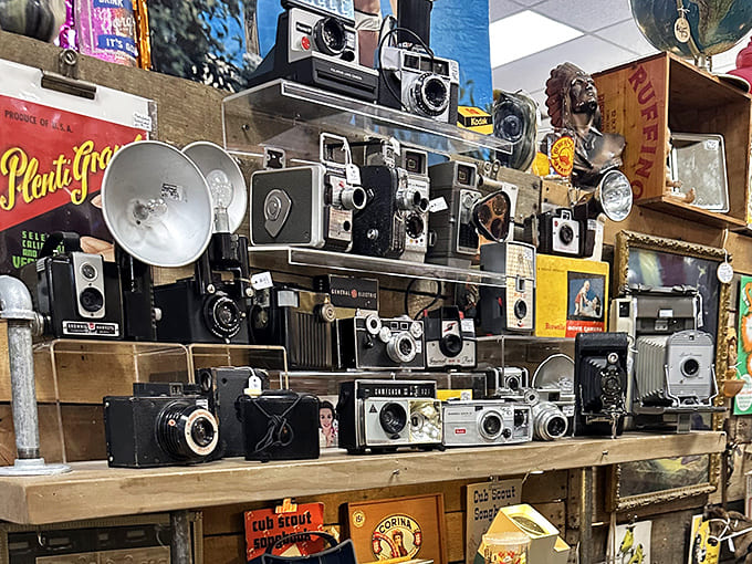 Vintage Cameras: Mechanical marvels that captured life before digital &ndash; these cameras witnessed weddings, birthdays, and everyday moments now fading in albums.
