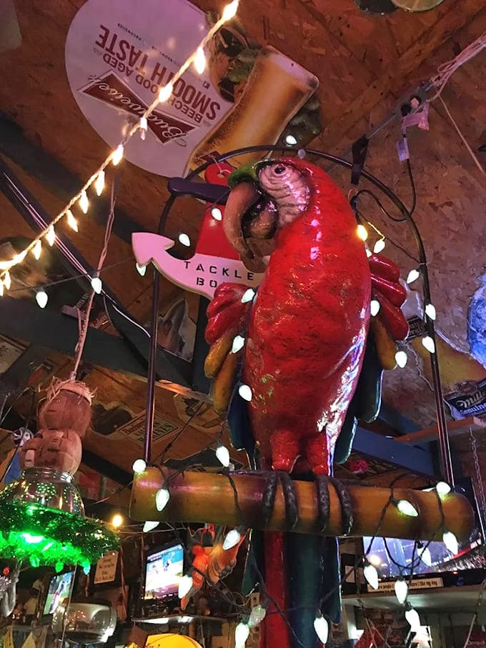 Watching over diners with festive flair &ndash; this ceiling-mounted parrot adds to the "more is more" decorating philosophy.