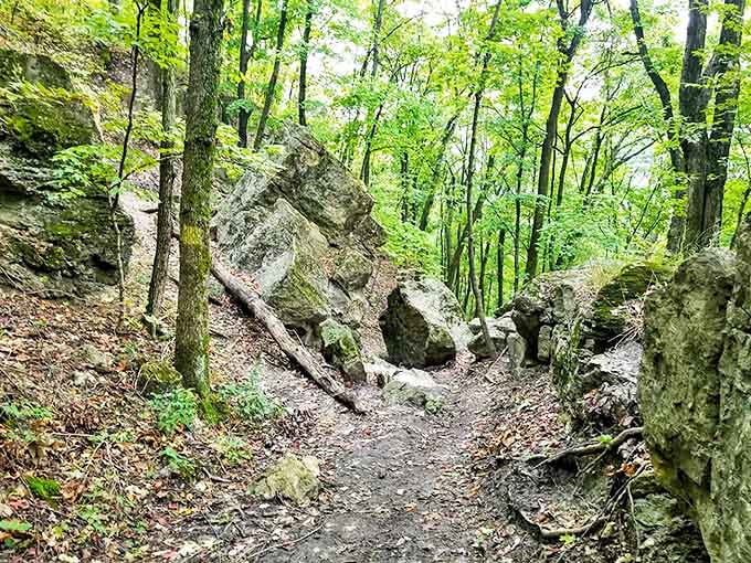 Ancient limestone formations create a natural sculpture garden, where each boulder tells a geological story millions of years in the making.