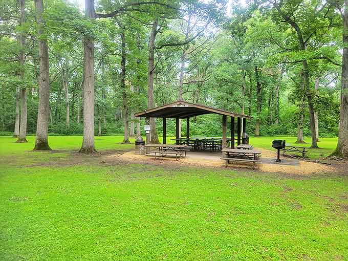 The picnic shelter stands ready for family gatherings, where ordinary sandwiches somehow taste extraordinary amid such natural splendor.