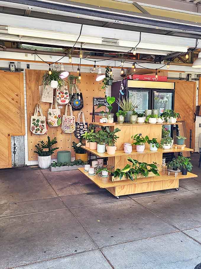 A little indoor garden oasis offers potted plants and handcrafted planters, bringing a touch of green to urban homes.