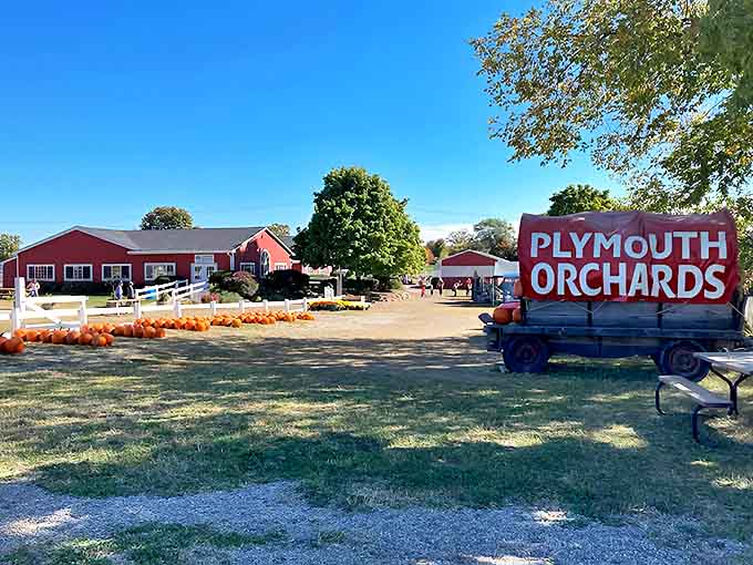 The iconic Plymouth Orchards sign and red barns against a perfect blue sky &ndash; like the cover of a magazine dedicated to perfect fall days.