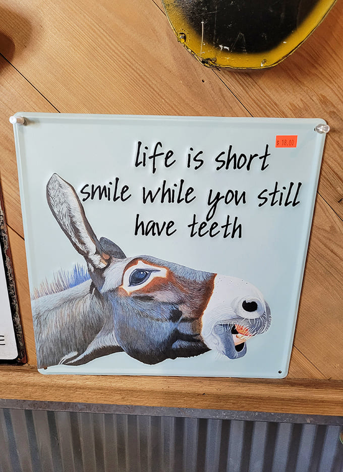 This donkey-themed sign captures the stubborn spirit of farm animals everywhere, rendered in cheerful colors that refuse to take life too seriously.