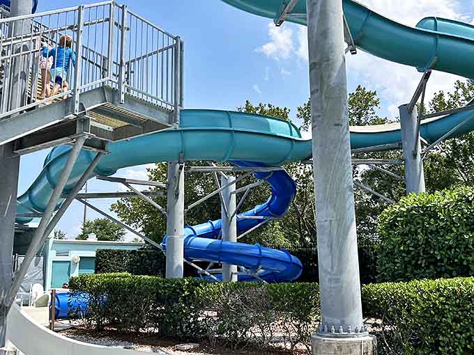 Engineering marvels of joy&mdash;these twisting slides transform ordinary water and gravity into the highlight of summer vacation memories.
