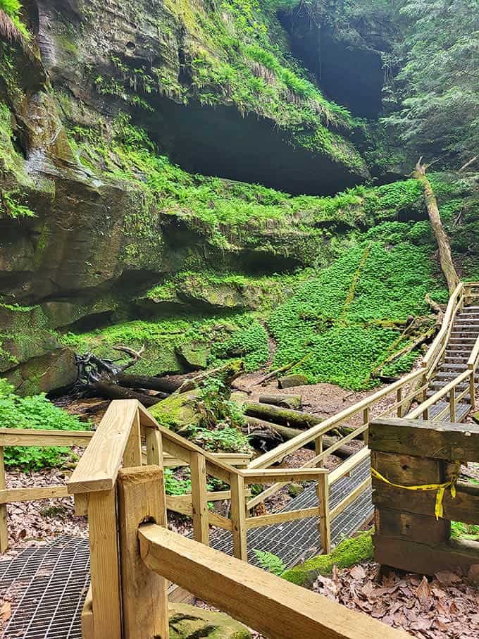 The kind of trail that makes you forget about step-counting apps and remember why walking was invented in the first place.