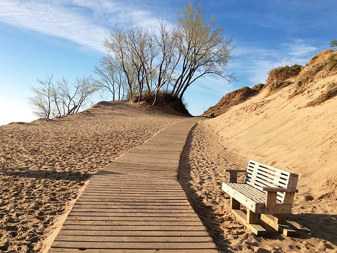 This wooden boardwalk cuts through sand dunes like a runway, leading to a bench perfectly positioned for contemplating life's big questions.