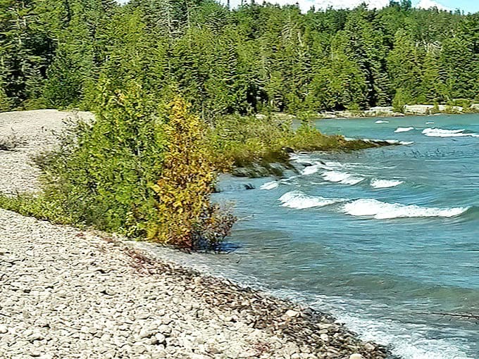 The meeting of land and water creates a timeless dance along the shore, choreographed by wind and waves for millennia.