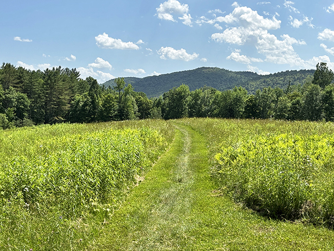 These verdant trails invite wanderers to lose themselves in meadows that seem to stretch toward mountains painted in watercolor hues.