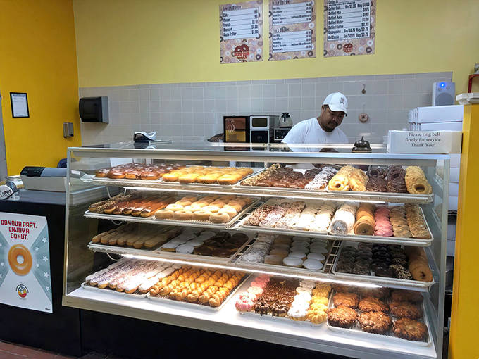 The counter area hums with morning efficiency as staff box up happiness by the dozen for eager customers.