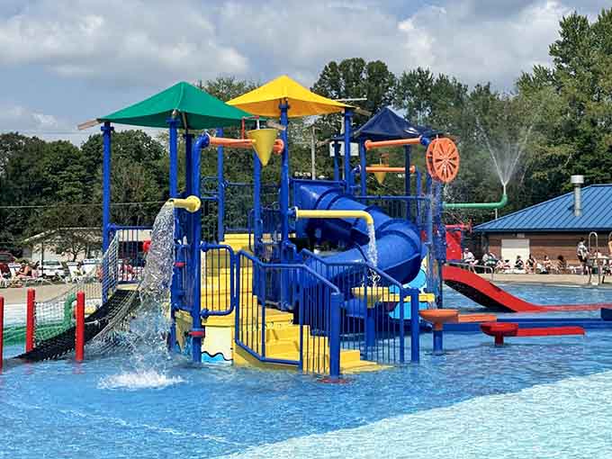 The kiddie play area erupts with water features that seem specifically designed to target unsuspecting parents who venture too close.