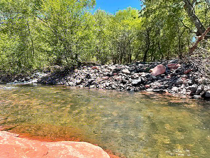 Upper Oak Creek's crystal waters flow over smooth stones, creating nature's perfect soundtrack for an afternoon of unplugged family bonding.