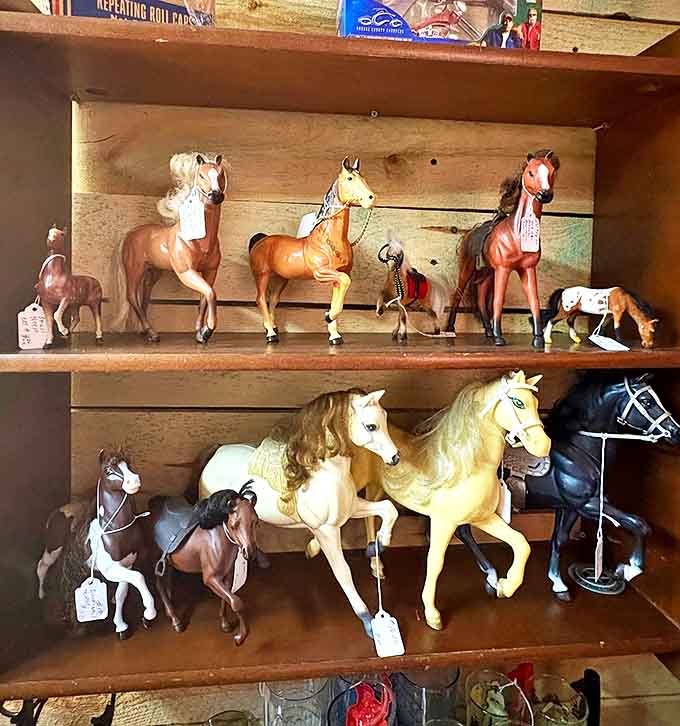 This equine lineup isn't just plastic and paint &ndash; it's childhood dreams of galloping freedom, carefully arranged by size and breed.