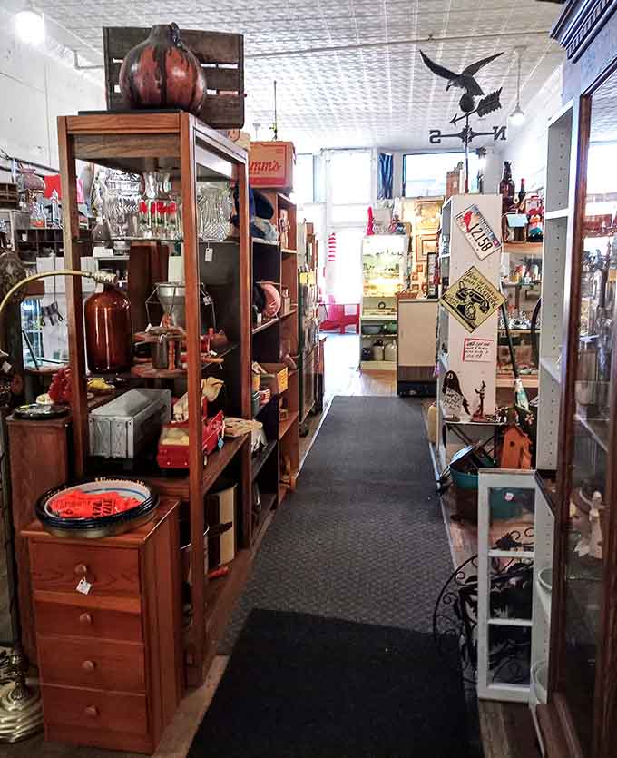 Aisles packed with discoveries stretch before you like a treasure hunter's dream, minus the booby traps and rolling boulders.