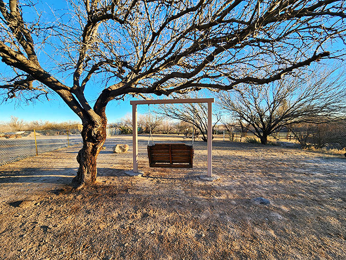 A simple bench swing under desert trees offers contemplation space that expensive meditation apps try desperately to replicate.