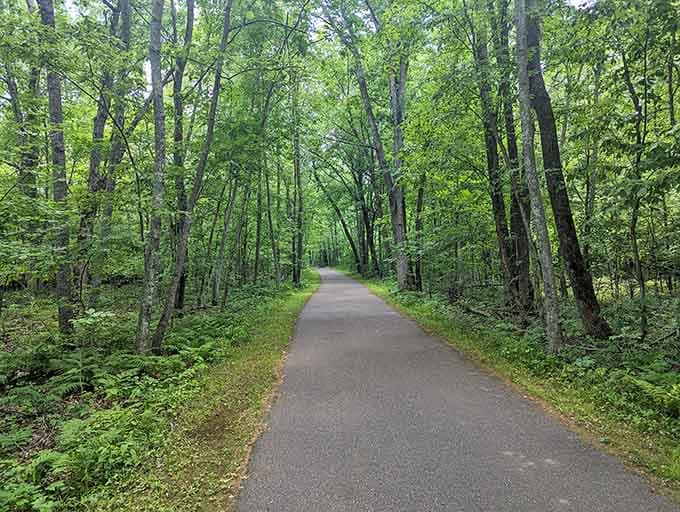 Roads less traveled that somehow manage to be more beautiful than the crowded ones ever were.