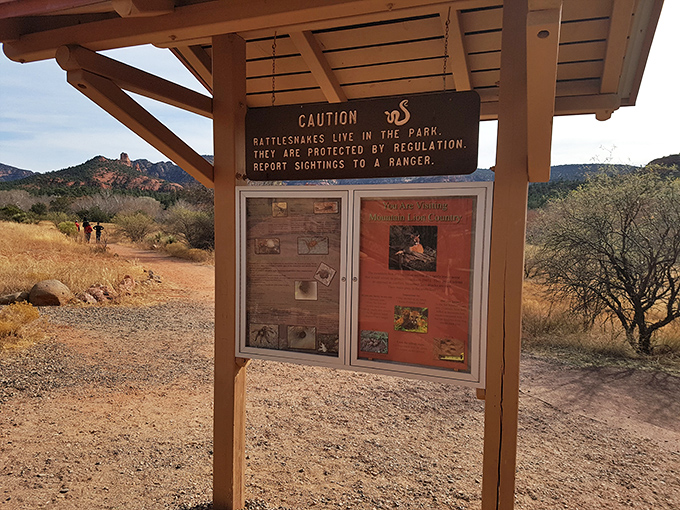 "Rattlesnakes live in the park" &ndash; nature's way of saying "admire the scenery, but watch where you put your feet."