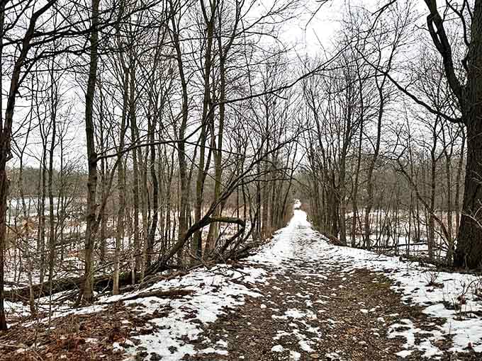 Winter trails offer serene walks through snow-dusted landscapes that prove beauty exists in every season, even the cold ones.