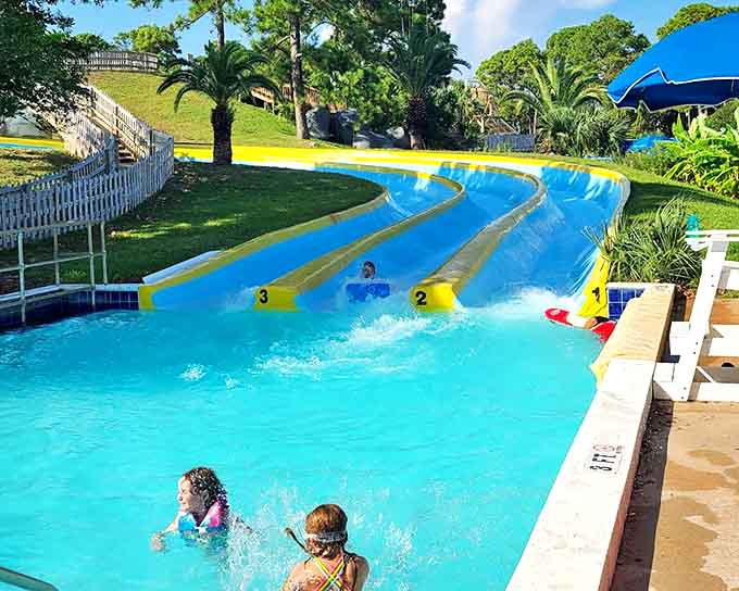 The Zoom Flume delivers exactly what its name promises &ndash; a high-velocity journey ending with the inevitable "did anyone see that?" splash landing.