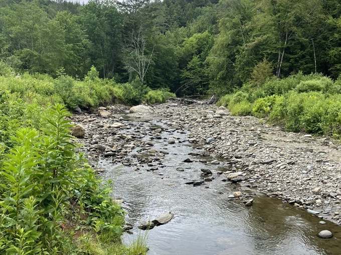 Stowe's pristine creek meanders through the valley, gathering stories before its dramatic plunge at the falls.