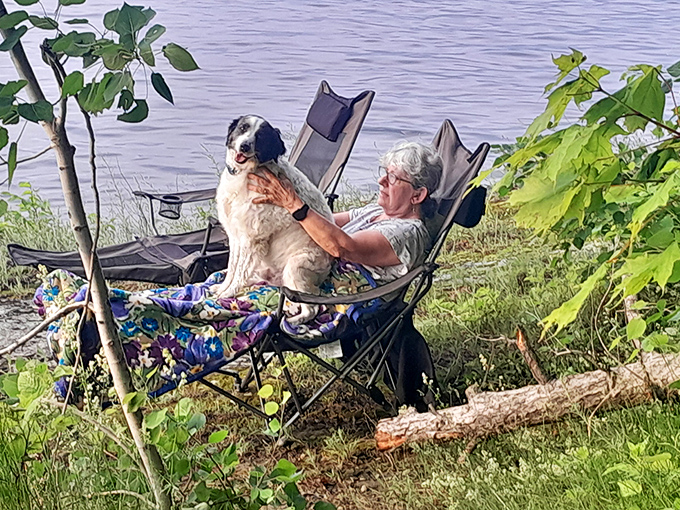 Nothing says "I've achieved peak relaxation" quite like a dog demanding attention while you're trying to enjoy a lakeside view.